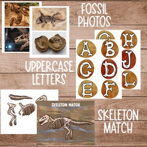 Fossil Bundle, Dinosaur Preschool Worksheet, Preschool Printable ...