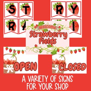 Strawberry Dramatic Play, Pretend Play, Classroom Dramatic Play, Home ...