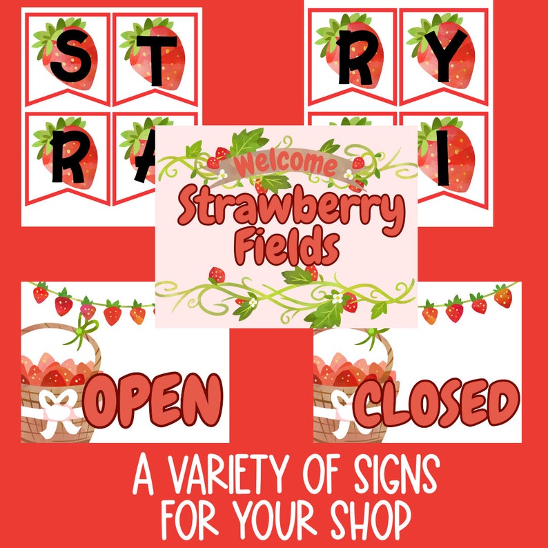 Strawberry Dramatic Play, Pretend Play, Classroom Dramatic Play, Home ...