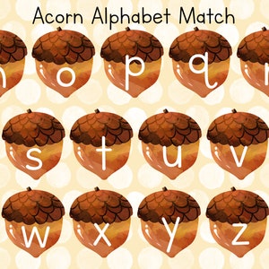 Acorn Alphabet Match, Montessori Materials, Homeschool Resources ...