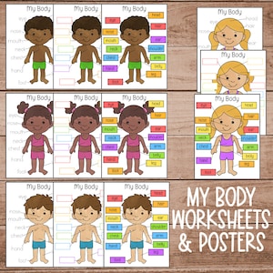 My Body Unit Study, Preschool Curriculum, Preschool Printable ...