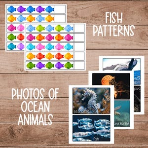 Ocean Animals Unit Study, Homeschool Learning Materials, Educational ...