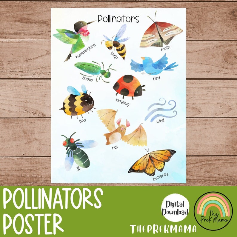 Pollinators Poster Preschool Curriculum Preschool Printable - Etsy