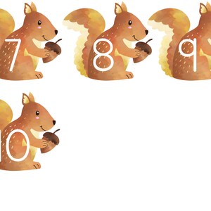 Squirrely Numbers, Math Activity for Preschool, Autumn Printable ...