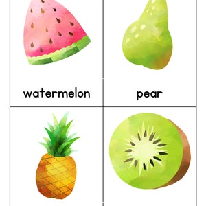 Montessori 3 Part Fruit Cards Preschool Printable - Etsy