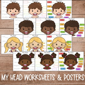 My Body Unit Study, Preschool Curriculum, Preschool Printable ...