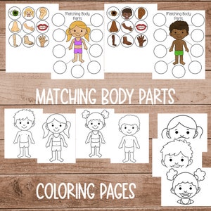 My Body Unit Study, Preschool Curriculum, Preschool Printable ...