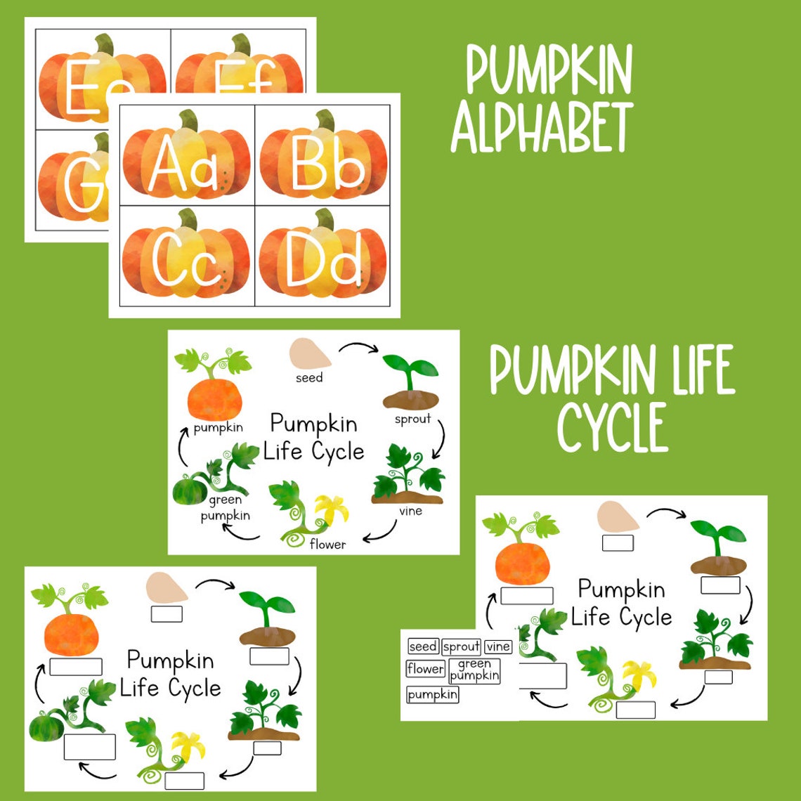 Pumpkin Unit Study Homeschool Learning Materials Educational - Etsy