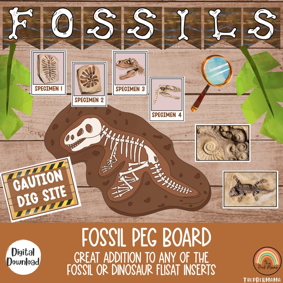 Fossils Peg Board, Fossils Posters, Fossils Preschool, Fossils Flisat ...