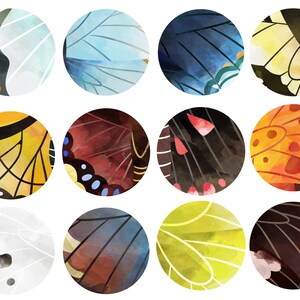 Butterfly Wing Match, Preschool Printable, Preschool Game ...