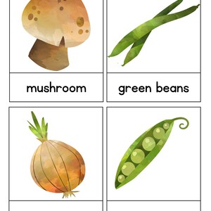 Montessori 3 Part Vegetable Cards, Preschool Printable, Flashcards ...