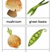 Montessori 3 Part Vegetable Cards Preschool Printable - Etsy