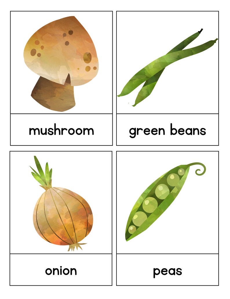 Montessori 3 Part Vegetable Cards, Preschool Printable, Flashcards ...