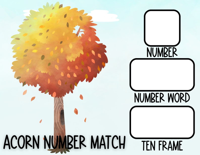 Acorn Number Match Montessori Materials Homeschool - Etsy