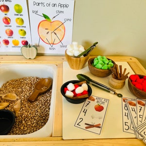 Apple Pie Recipe Cards, Montessori Materials, Homeschool Resources ...