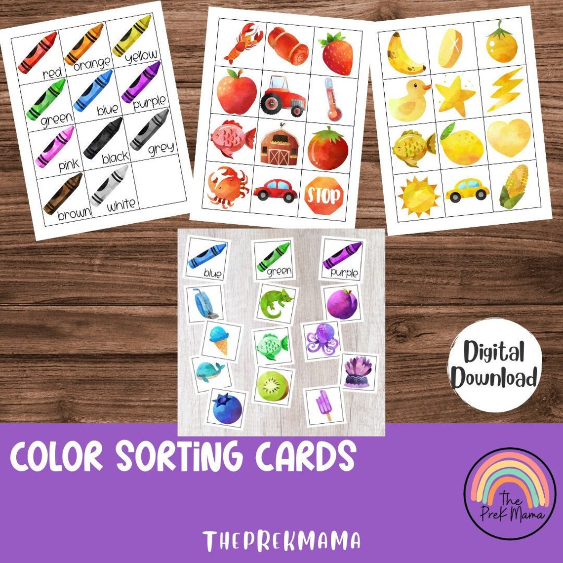 Color Sorting Cards Preschool Worksheet Preschool Printable - Etsy