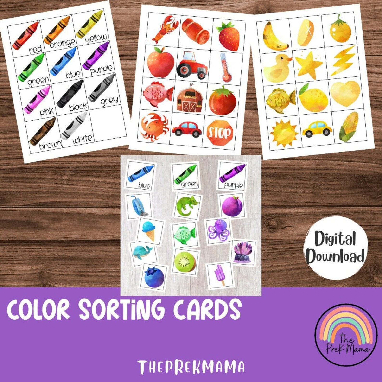 Color Sorting Cards Preschool Worksheet Preschool Printable - Etsy