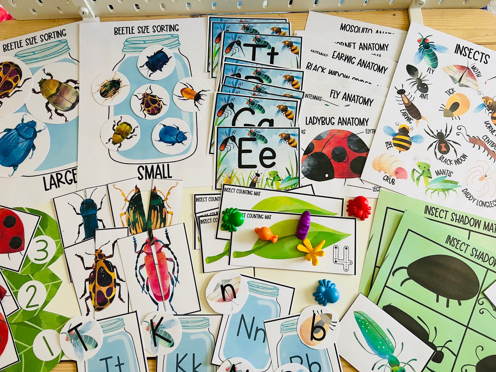 Insect Unit Study, Preschool Curriculum, Preschool Printable, Preschool ...