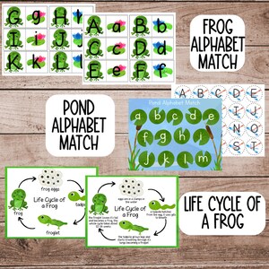 Pond Life Unit Study, Preschool Curriculum, Preschool Printable ...