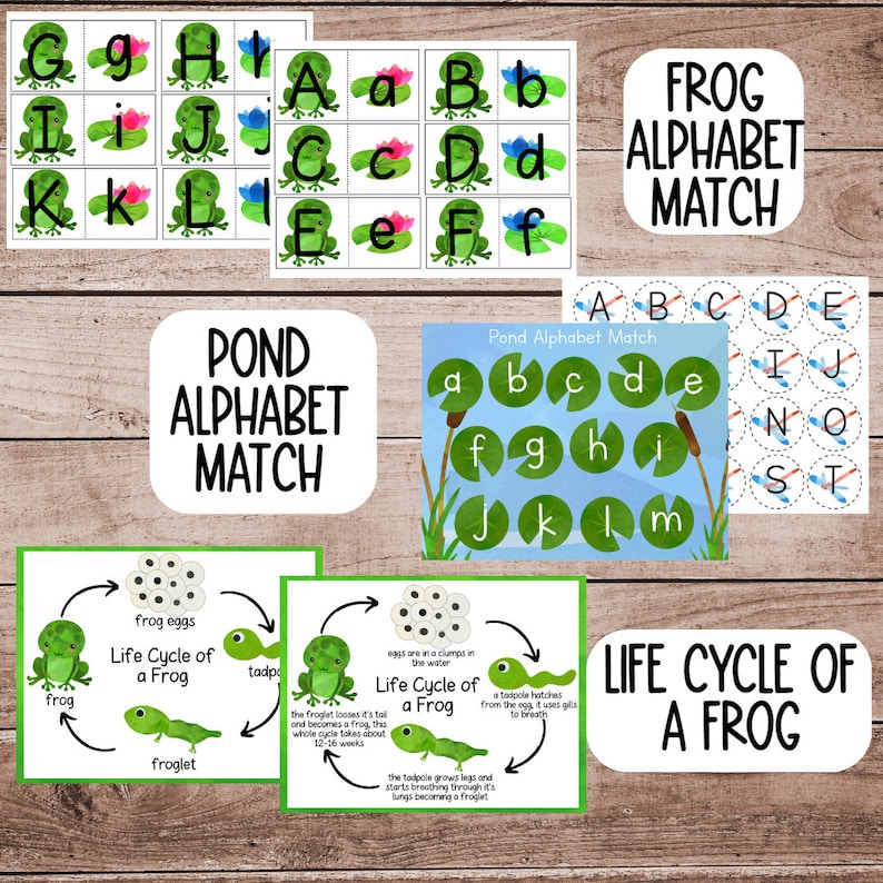 Pond Life Unit Study, Preschool Curriculum, Preschool Printable ...