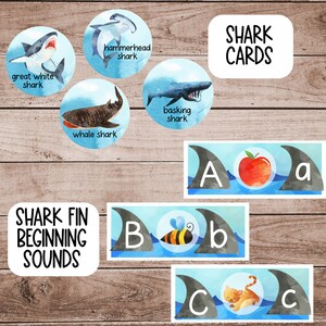 Shark Unit Study, Preschool Curriculum, Preschool Printable, Preschool ...