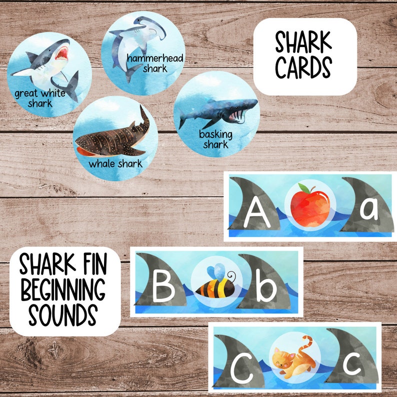 Shark Unit Study, Preschool Curriculum, Preschool Printable, Preschool ...