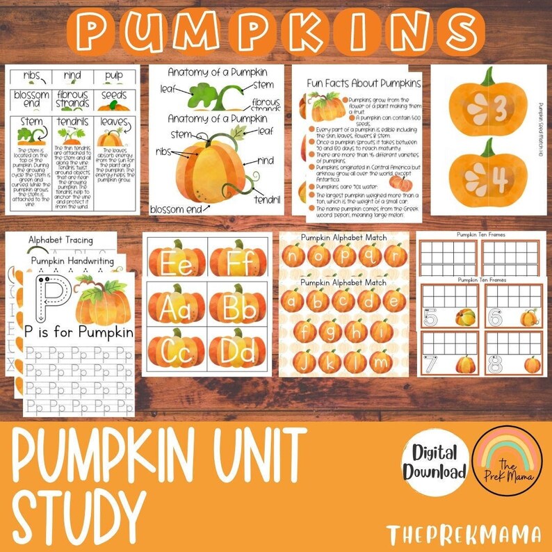 Pumpkin Unit Study Homeschool Learning Materials Educational - Etsy