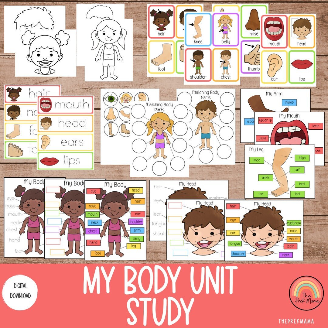 My Body Unit Study, Preschool Curriculum, Preschool Printable ...