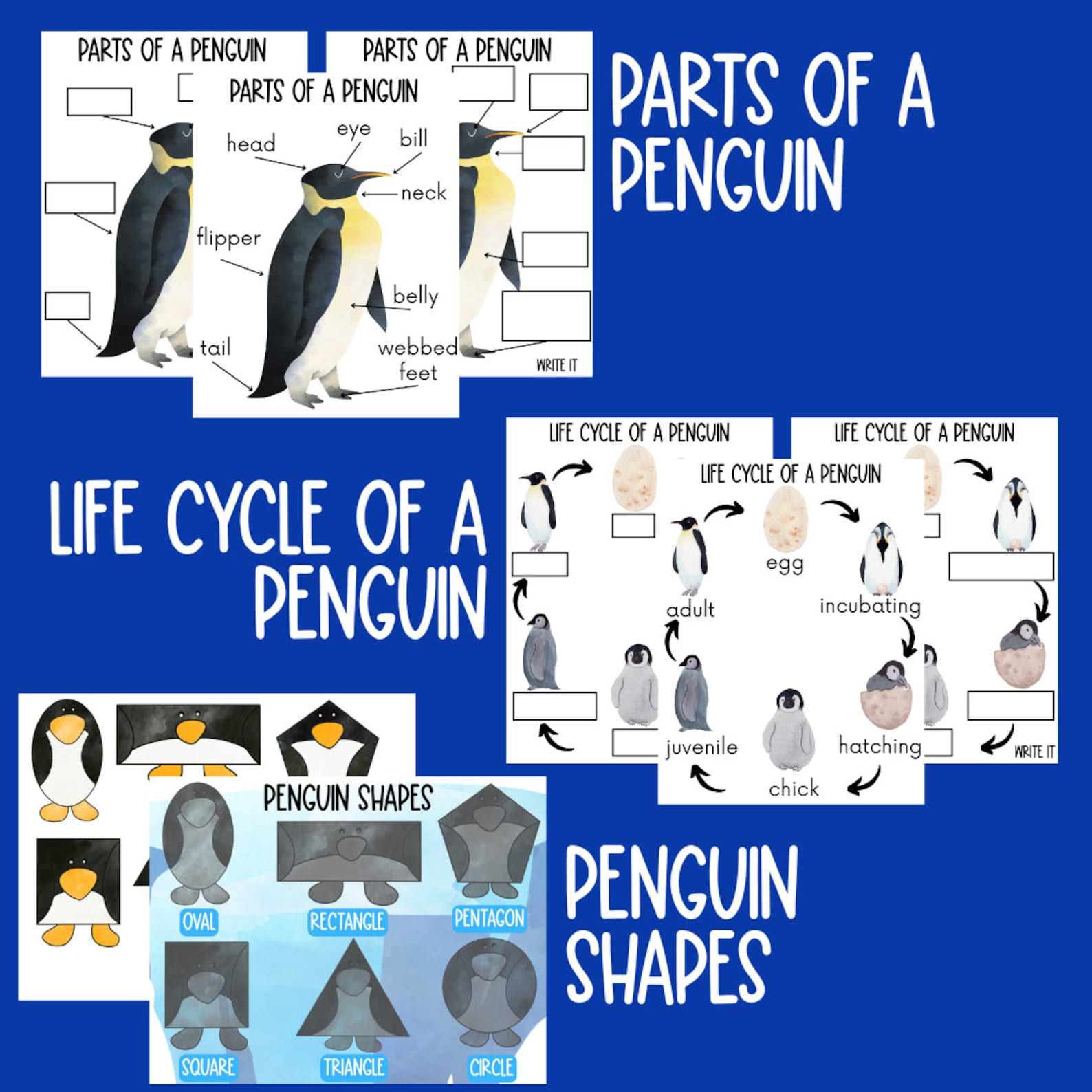 Penguin Unit Study Homeschool Learning Materials Educational - Etsy