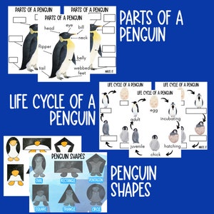 Penguin Unit Study, Homeschool Learning Materials, Educational ...