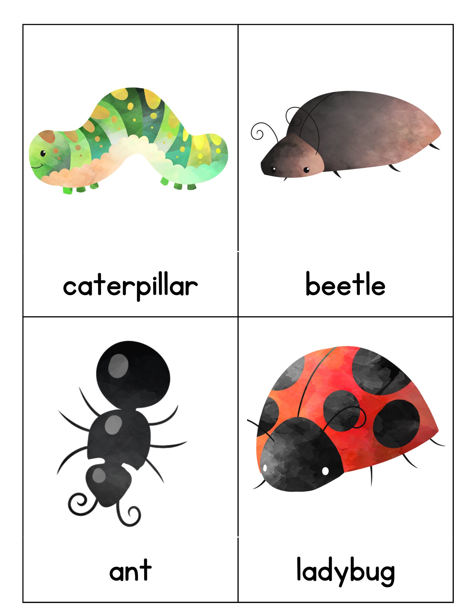Montessori 3 Part Bug Cards Preschool Printable Flashcard - Etsy