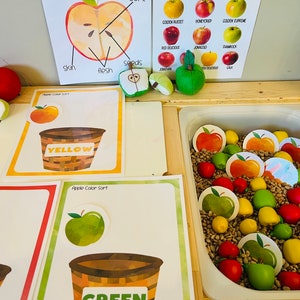 Apple Unit Study, Preschool Curriculum, Preschool Printable, Preschool ...