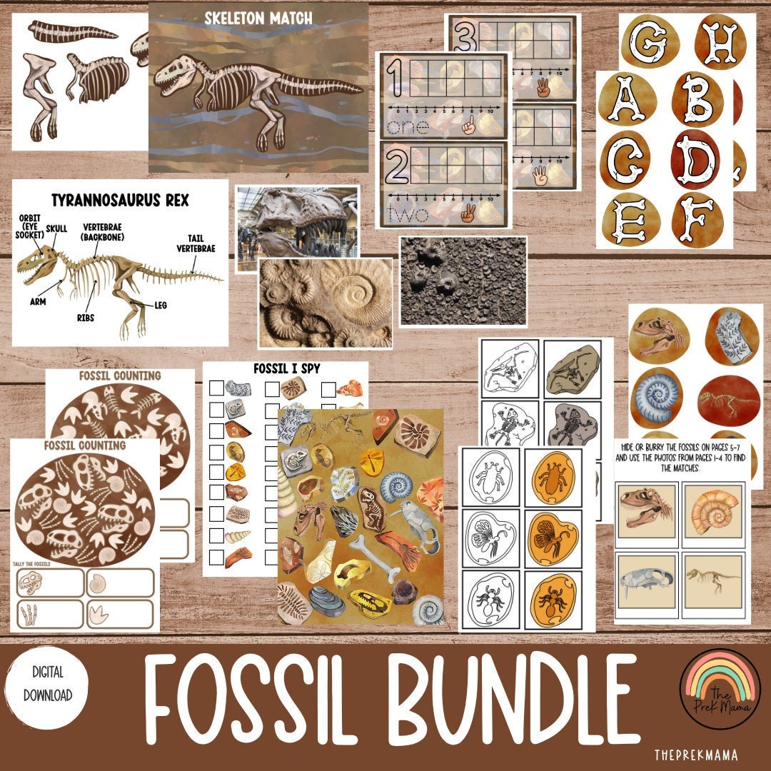 Fossil Bundle, Dinosaur Preschool Worksheet, Preschool Printable ...
