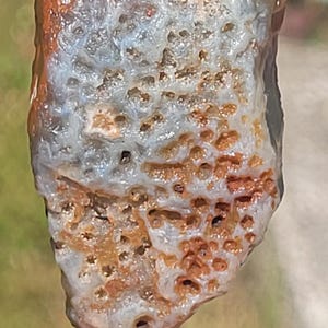 Wild Blue Lake Superior SAGINITE Agate W/ Rare Green Chalcedony Jelly ...