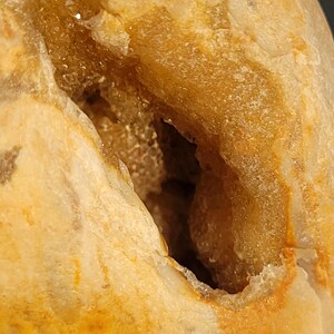 Drusy BOTRYOIDAL Geode HORN CORAL Specimen in Chert Matrix Plus I ...