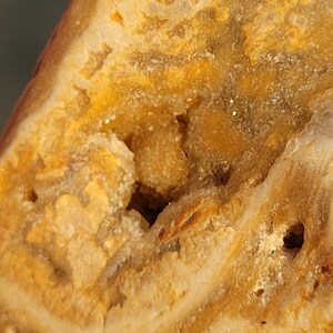 Drusy BOTRYOIDAL Geode HORN CORAL Specimen in Chert Matrix Plus I ...