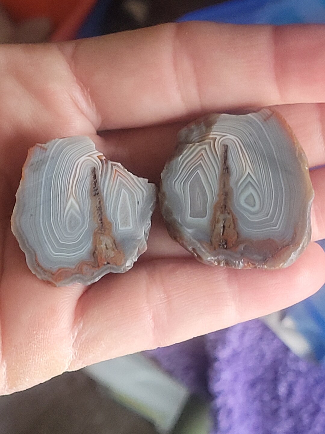 Rare Blue PSEUDOMORPH Fortification Banded Lake Superior Agate Sliced Plus I Always Include ...