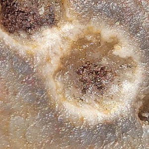 Wild Blue Lake Superior SAGINITE Agate W/ Rare Green Chalcedony Jelly ...