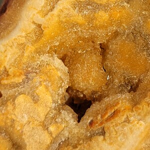 Drusy BOTRYOIDAL Geode HORN CORAL Specimen in Chert Matrix Plus I ...