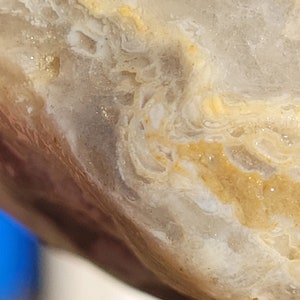 Stunning Drusy Quartz Agatized HORN CORAL COLONY With a Sm Banded Agate ...