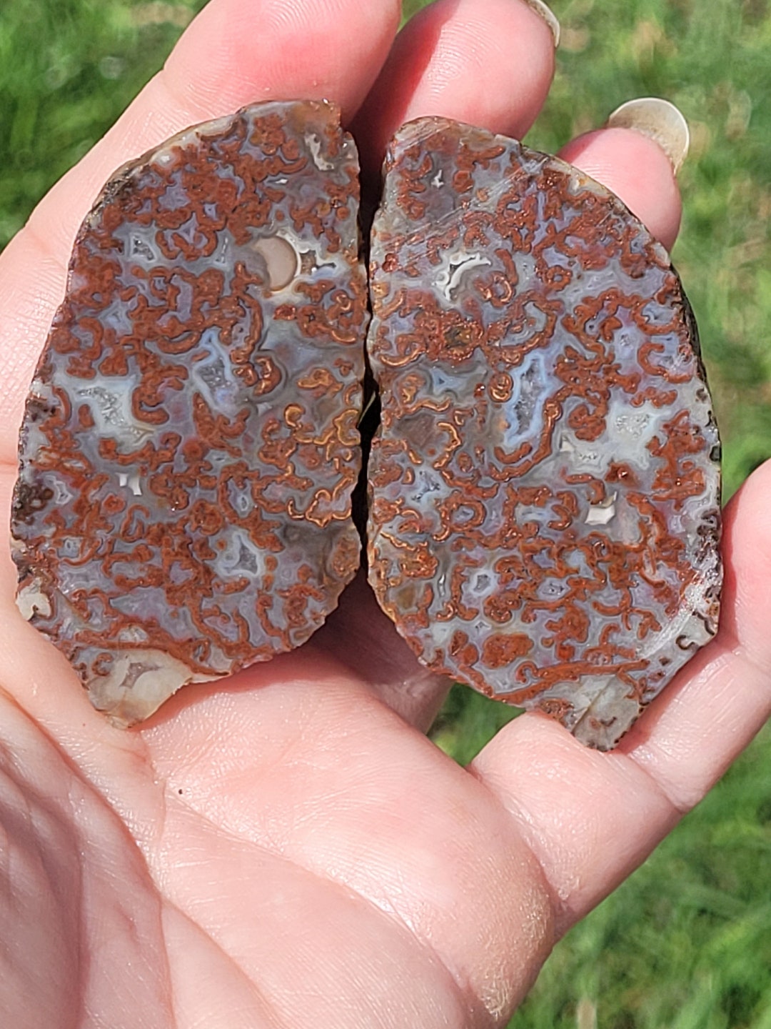 Sliced FRAGMENTED MEMBRANE Lake Superior Agate W / EYES Plus I Always ...