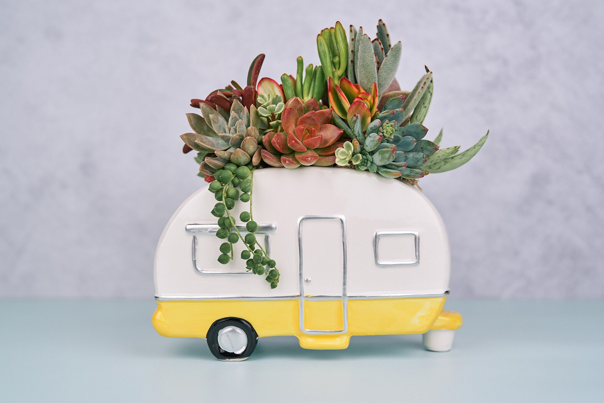 Retro Camper RV Succulent Arrangement Planter: Living - Etsy