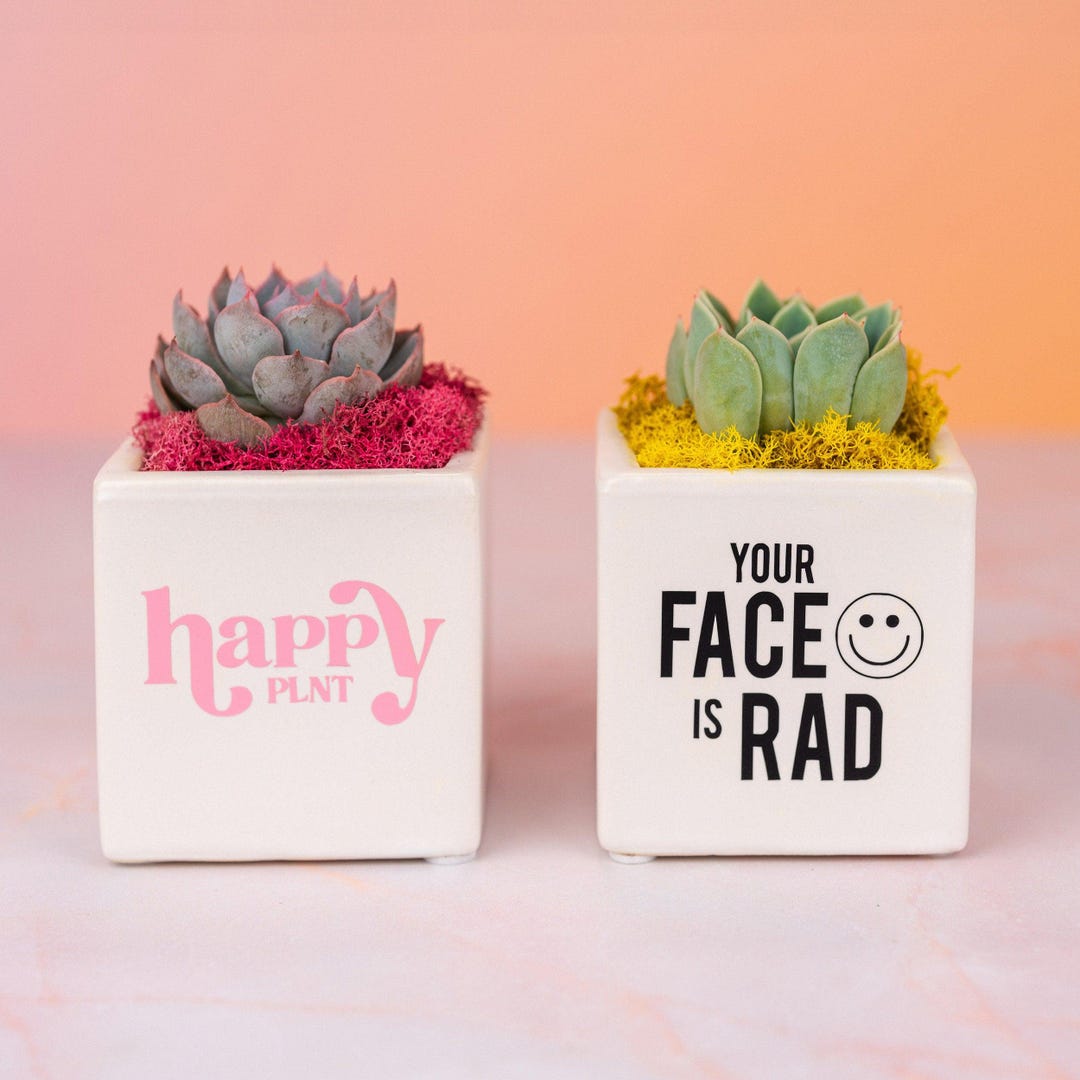 Custom Logo Living Succulent Planter: Branded Corporate Gift - Etsy