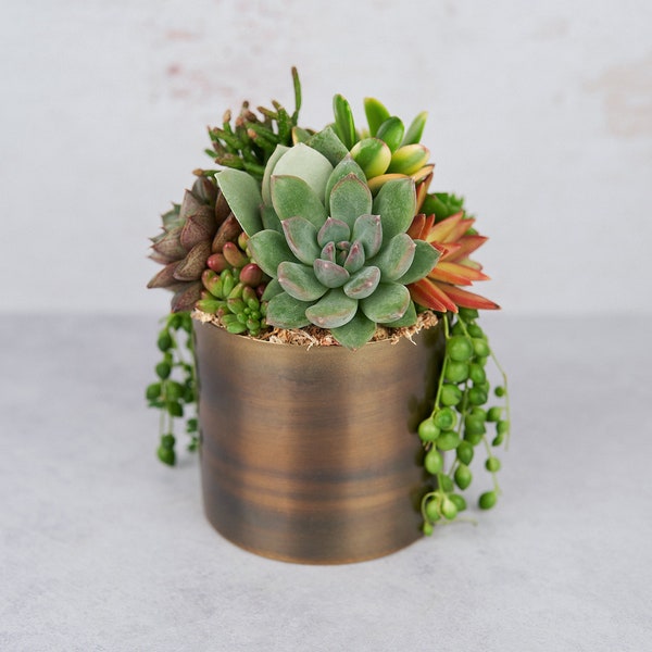 Centerpiece Planter - Etsy