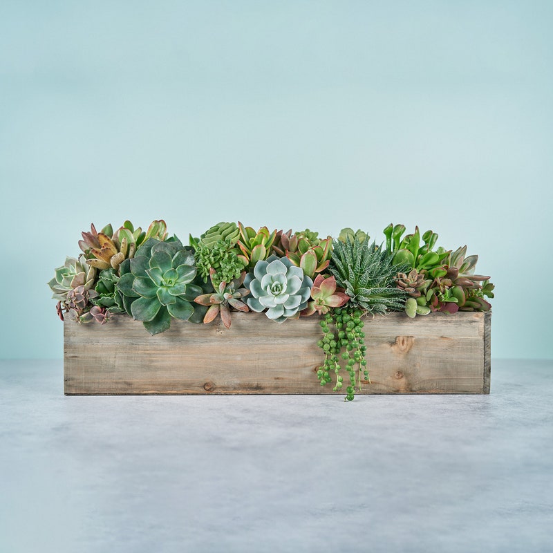 Centerpiece Planter - Etsy