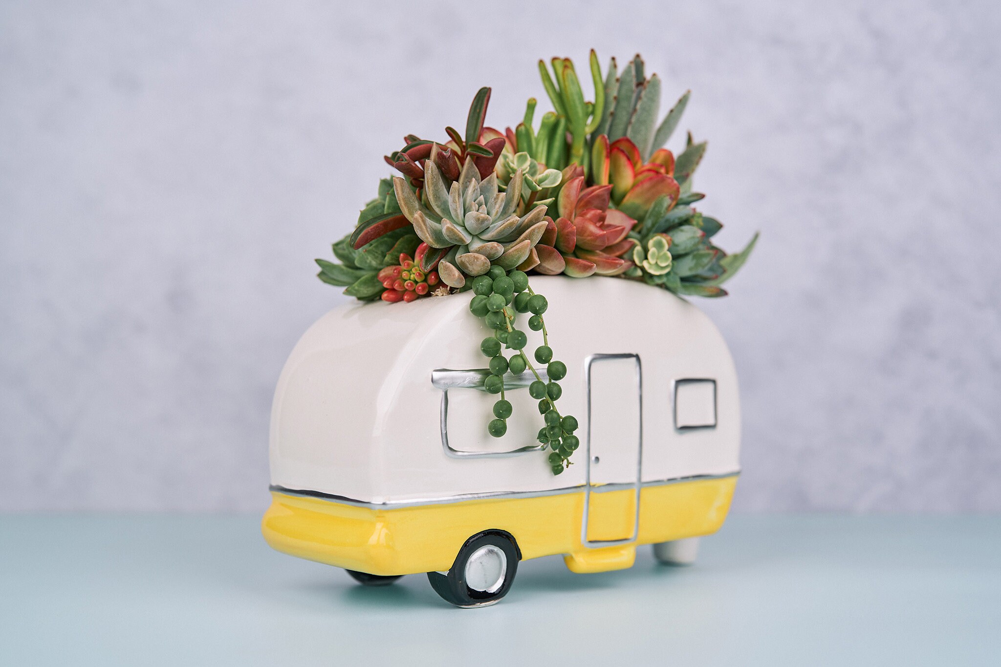 Retro Camper RV Succulent Arrangement Planter: Living - Etsy
