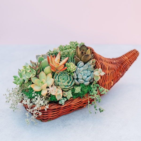Cornucopia - Etsy