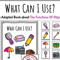 Brown Bear Brown Bear What Do You See Activities | Adapted Book for ...