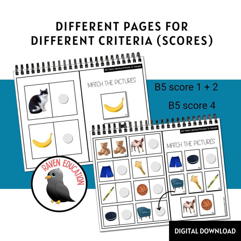 Visual Performance Assessment Binder - Aligned With ABLLS-R B Tasks ...