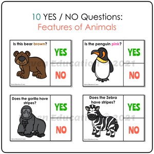 YES or NO Questions - Zoo Animals (50 Printable Task Cards) - Etsy